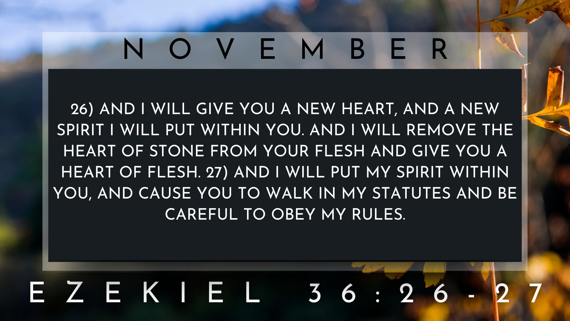 CrossView Church: Antioch, IL > November News and Updates