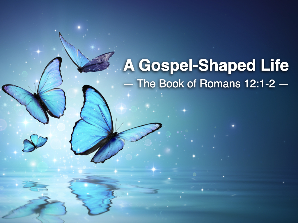 Romans 12 1 2 Wallpaper