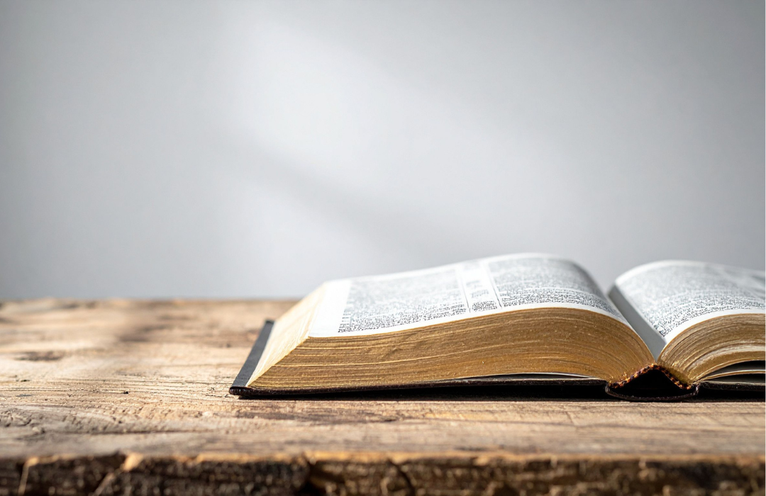 The Trails Church > Growing in The Word: How to Read The Bible